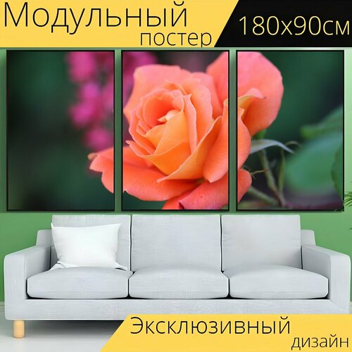 Модульный постер "Роза, колючий, шипы" 180 x 90 см. для интерьера