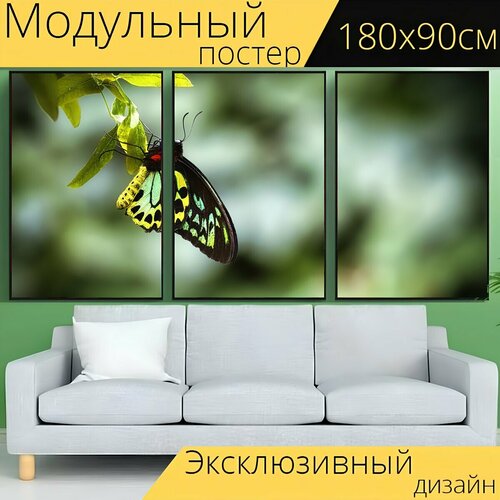 Модульный постер "Бабочка, тропический, желтый" 180 x 90 см. для интерьера