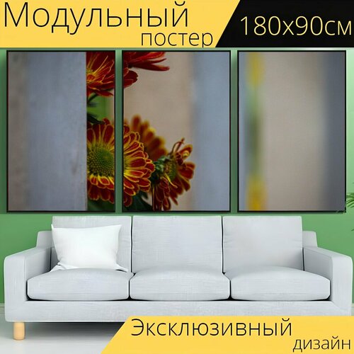 Модульный постер "Цветок, хризантема, сад" 180 x 90 см. для интерьера