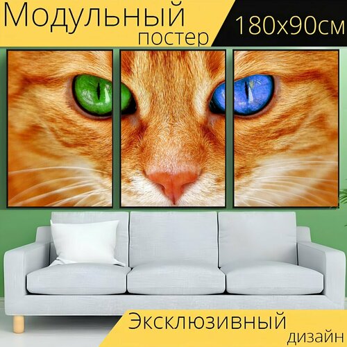 Модульный постер "Кот, глаза, две тонны" 180 x 90 см. для интерьера