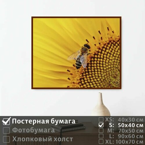 Постер на стену Пчела В Подсолнухе 50х40 см ПолиЦентр