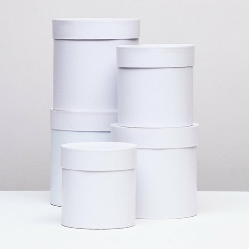 Набор круглых коробок 5в1 "Белизна перламутровая", 20 × 20 ‒15 × 15 см 10309147