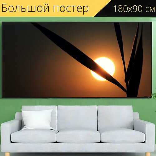 Большой постер "Заход солнца, солнце, трава" 180 x 90 см. для интерьера