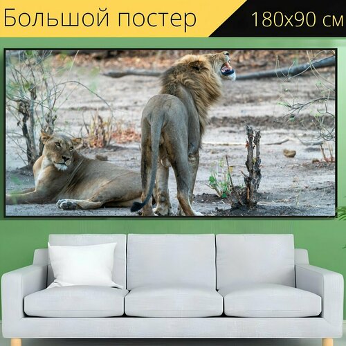 Большой постер "Львы, животные, сафари" 180 x 90 см. для интерьера