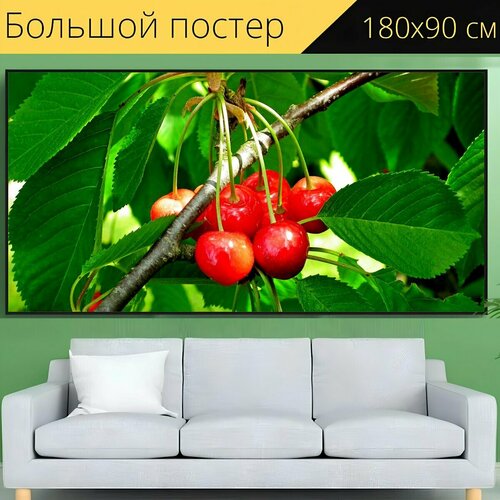 Большой постер "Вишня, фрукты, весна" 180 x 90 см. для интерьера
