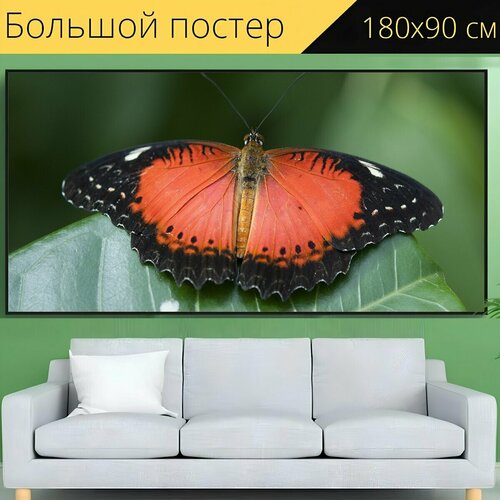 Большой постер "Бабочка, природа, лето" 180 x 90 см. для интерьера