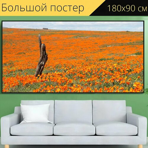 Большой постер "Маки, цветы, поле" 180 x 90 см. для интерьера