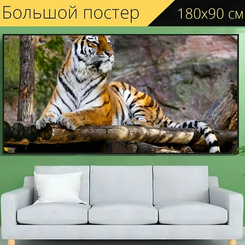 Большой постер "Животное, тигр, хищник" 180 x 90 см. для интерьера