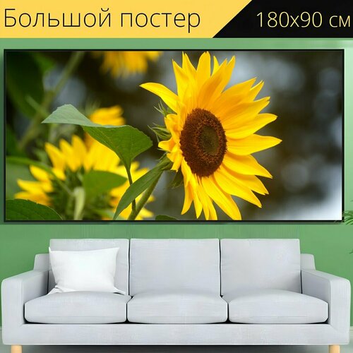 Большой постер "Подсолнух, цветок, солнце" 180 x 90 см. для интерьера