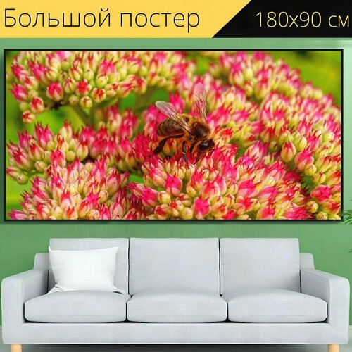 Большой постер "Пчела, цветочный луг, розовый" 180 x 90 см. для интерьера