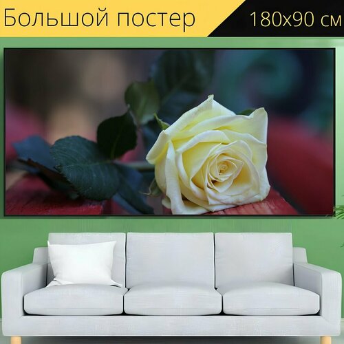Большой постер "Роза, цветок, желтая роза" 180 x 90 см. для интерьера