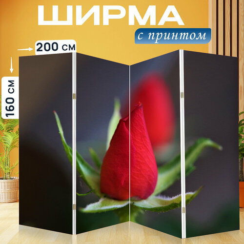 Ширма перегородка с принтом "Цветок, розовый, бутон розы" на холсте - 200x160 см. для зонирования, раскладная