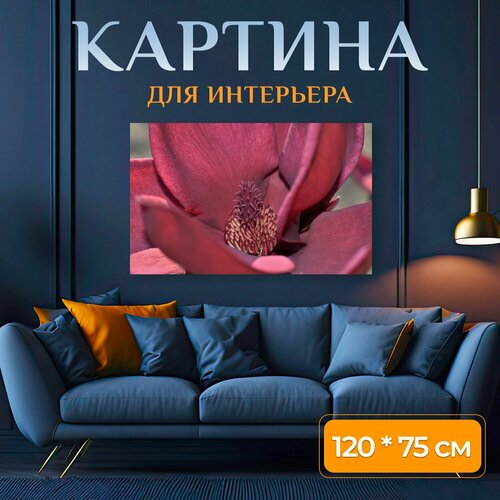 Картина на холсте "Магнолия, цвести, цветок" на подрамнике 120х75 см. для интерьера