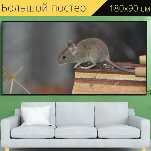 Большой постер "Мышь, грызун, животное" 180 x 90 см. для интерьера