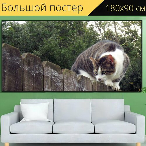 Большой постер "Изгородь, кошка, животное" 180 x 90 см. для интерьера