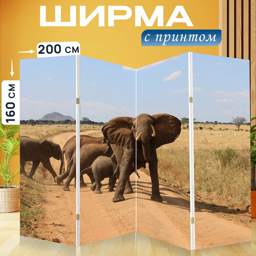 Ширма перегородка с принтом "Слоны, животные, сафари" на холсте - 200x160 см. для зонирования, раскладная