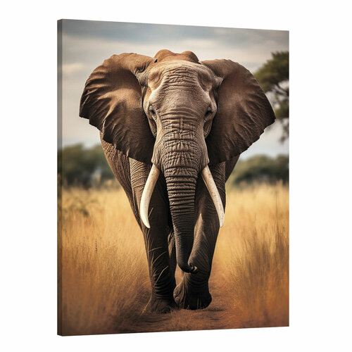 Интерьерная картина 50х70 "Слон"