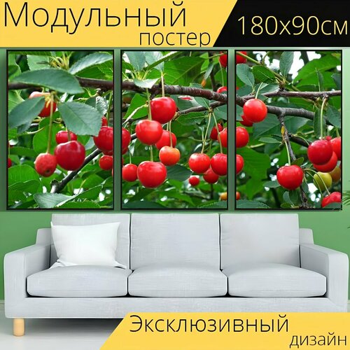 Модульный постер "Вишня, фрукты, красный" 180 x 90 см. для интерьера