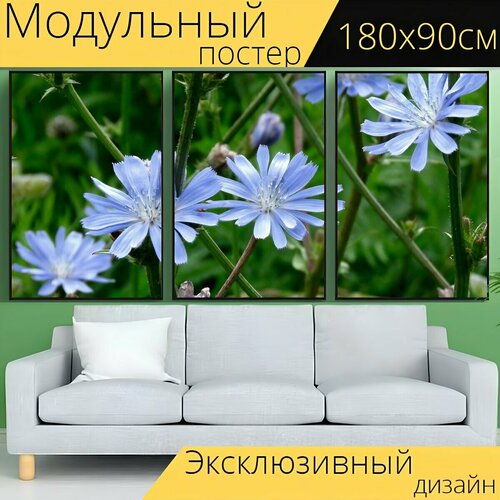 Модульный постер "Цветок, цикорий, синий" 180 x 90 см. для интерьера