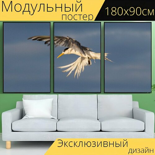 Модульный постер "Птица, природа, дикая природа" 180 x 90 см. для интерьера