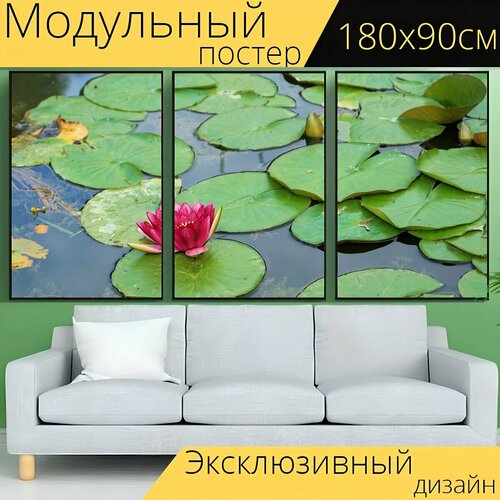 Модульный постер "Водяная лилия, цветок, завод" 180 x 90 см. для интерьера