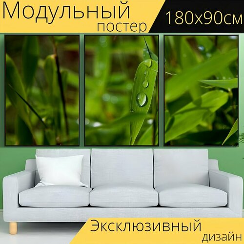 Модульный постер "Растения, бамбук, листья бамбука" 180 x 90 см. для интерьера