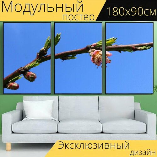 Модульный постер "Персик, цветущие деревья, весна" 180 x 90 см. для интерьера