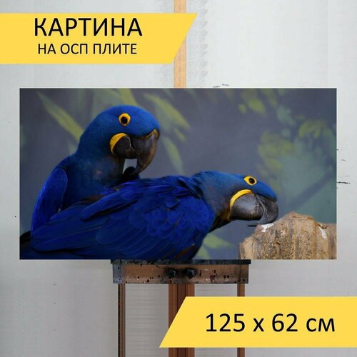 Картина на ОСП 125х62 см. "Гиацинтовый ара, синий попугай, птицы" горизонтальная, для интерьера, с креплениями