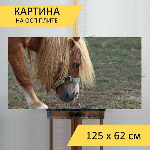 Картина на ОСП 125х62 см. "Лошадь, ферма, природа" горизонтальная, для интерьера, с креплениями