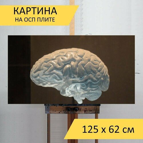 Картина на ОСП 125х62 см. "Головной мозг, отражение, дух" горизонтальная, для интерьера, с креплениями