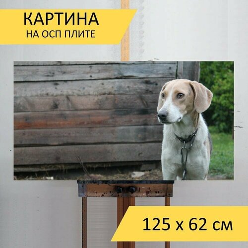 Картина на ОСП 125х62 см. "Собаки, пес, грусть" горизонтальная, для интерьера, с креплениями