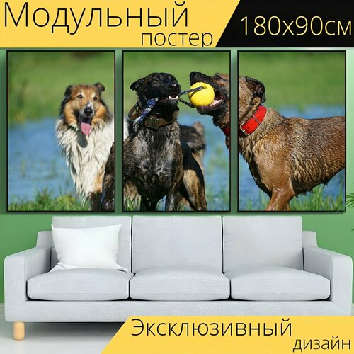 Модульный постер "Животные, собаки, игра" 180 x 90 см. для интерьера