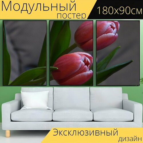 Модульный постер "Тюльпаны, тюльпан, цветы" 180 x 90 см. для интерьера