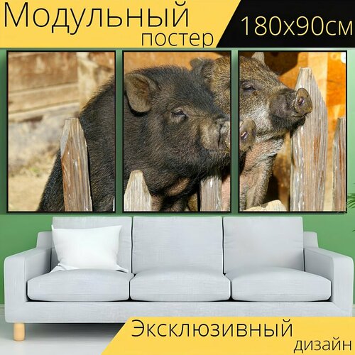 Модульный постер "Пузатые свиньи, свинья, домашняя свинья" 180 x 90 см. для интерьера