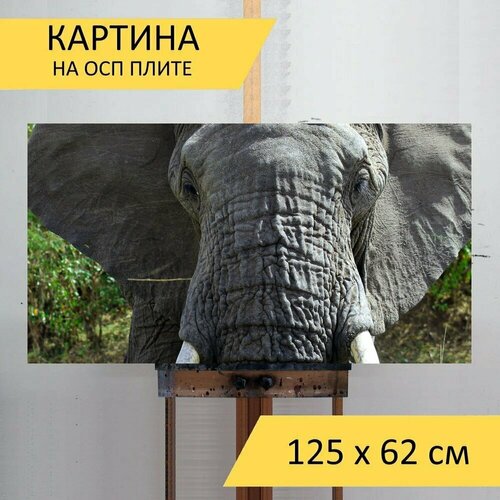 Картина на ОСП 125х62 см. "Слон, африка, сафари" горизонтальная, для интерьера, с креплениями