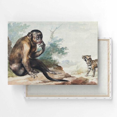 Картина на холсте, репродукция / Аерт Шоуман - A Monkey Sitting / Размер 30 x 40 см