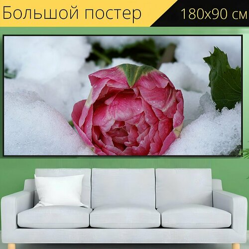 Большой постер "Цветок, розовый тюльпан, тюльпан на снегу" 180 x 90 см. для интерьера