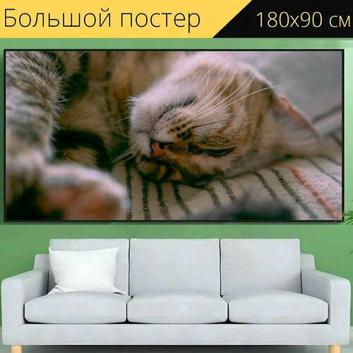 Большой постер "Кошка, спать, котенок" 180 x 90 см. для интерьера