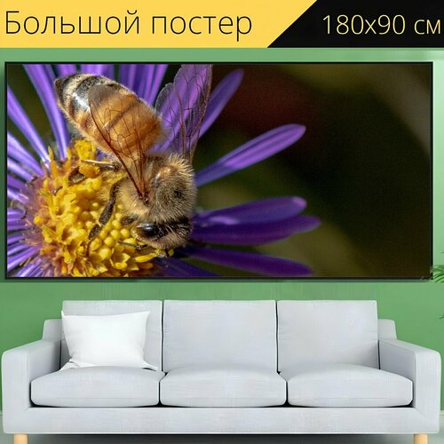 Большой постер "Пчела, цветок, жук" 180 x 90 см. для интерьера
