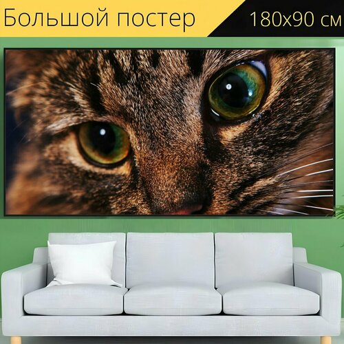 Большой постер "Кошка, животное, домашний питомец" 180 x 90 см. для интерьера