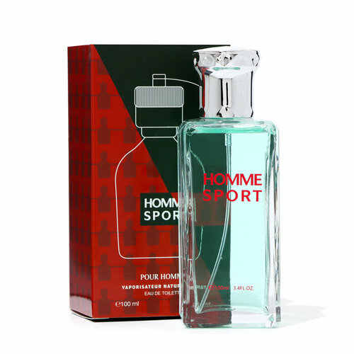 Туалетная вода мужская Homme Sport, 100 мл