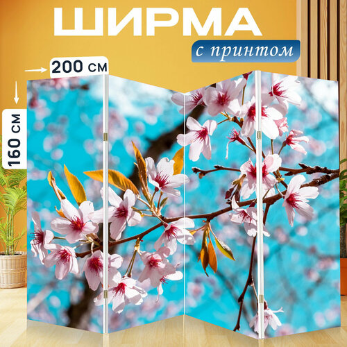 Ширма перегородка с принтом "Вишни в цвету, цветы, весна" на холсте - 200x160 см. для зонирования, раскладная