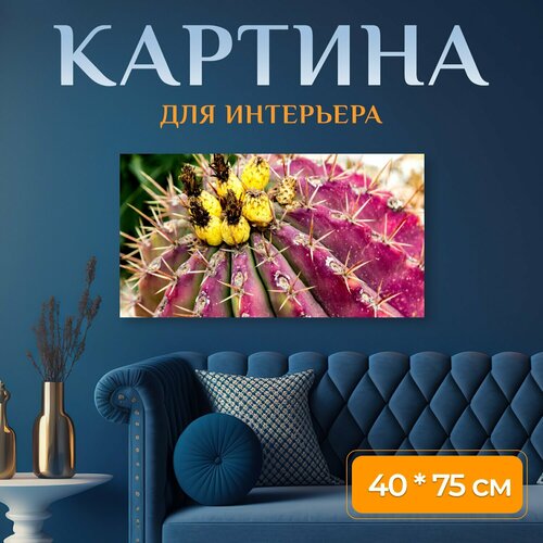 Картина на холсте "Кактус, сад, цветок" на подрамнике 75х40 см. для интерьера