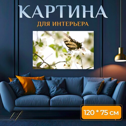 Картина на холсте "Бабочка, парусники бабочки, природа" на подрамнике 120х75 см. для интерьера