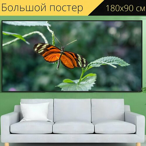 Большой постер "Природа, бабочка, насекомые" 180 x 90 см. для интерьера