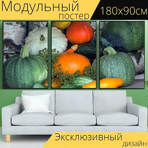 Модульный постер "Овощи, тыквы, цуккини" 180 x 90 см. для интерьера