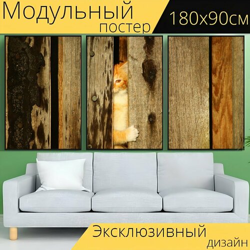Модульный постер "Кот, котенок, деревянная стена" 180 x 90 см. для интерьера