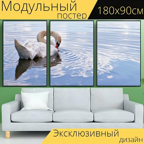 Модульный постер "Лебедь, немой лебедь, водоплавающая птица" 180 x 90 см. для интерьера
