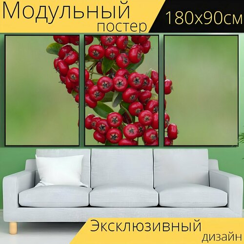 Модульный постер "Ягода, ягоды, завод" 180 x 90 см. для интерьера
