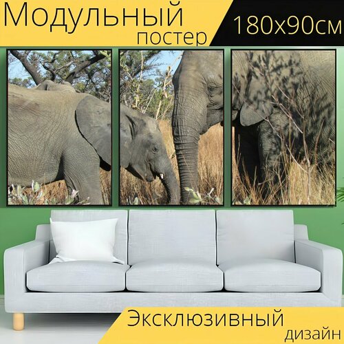Модульный постер "Слоны, детка, африка" 180 x 90 см. для интерьера